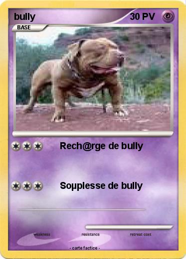 Pokémon bully 80 80 - Rech@rge de bully - Ma carte Pokémon
