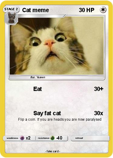 Pokémon Cat meme 13 13 - Eat - My Pokemon Card