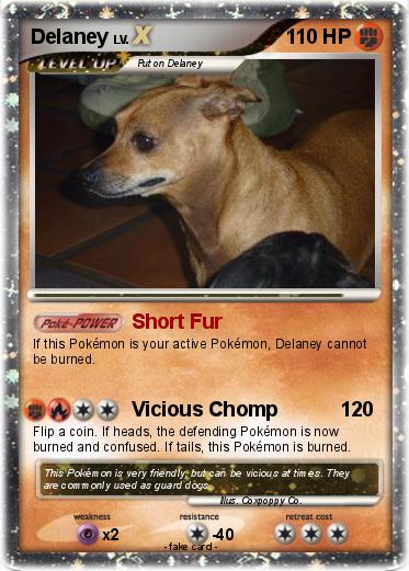 Pokémon Delaney 3 3 - Short Fur - My Pokemon Card