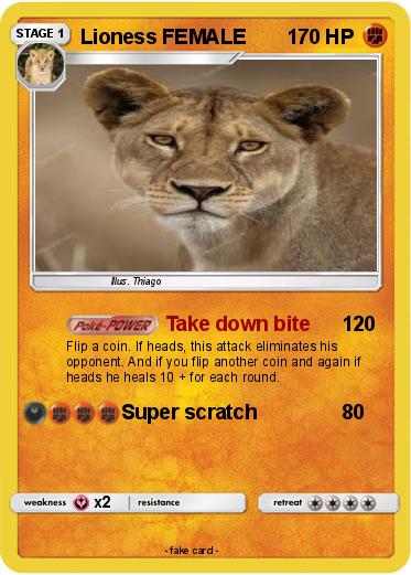 Pokémon Lioness FEMALE - Take down bite - My Pokemon Card