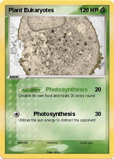 Pokémon Plant Eukaryotes - Photosynthesis - My Pokemon Card