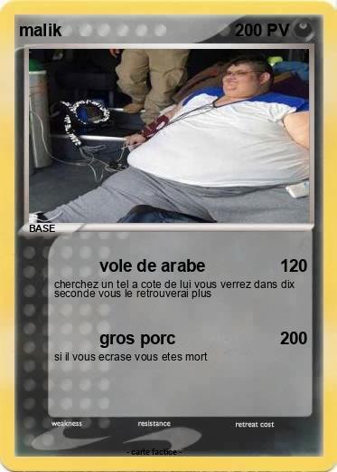 Pokémon malik 80 80 - vole de arabe - Ma carte Pokémon