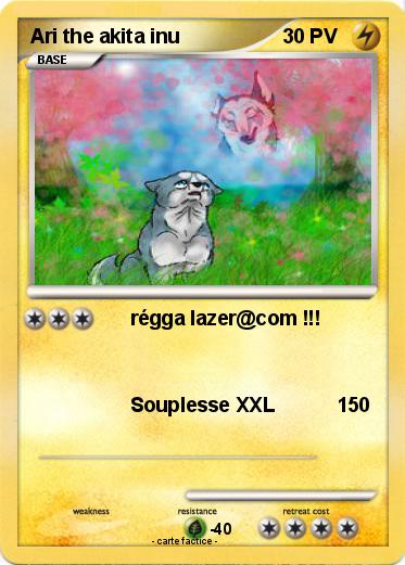 Pokémon Ari the akita inu - régga lazer@com !!! - Ma carte Pokémon