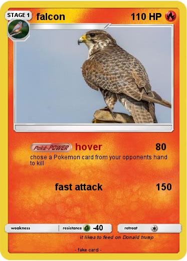 Pokémon falcon 207 207 - hover - My Pokemon Card