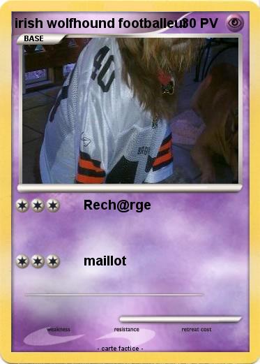 Pokémon irish wolfhound footballeur - Rech@rge - Ma carte Pokémon