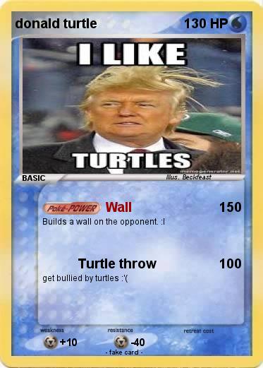 Pokémon donald turtle - Wall - My Pokemon Card