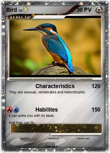 Pokémon Bird 433 433 - Characteristics - Mi carta pokémon