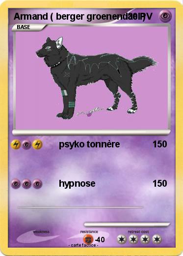 Pokémon Armand berger groenendael - psyko tonnère - Ma carte Pokémon