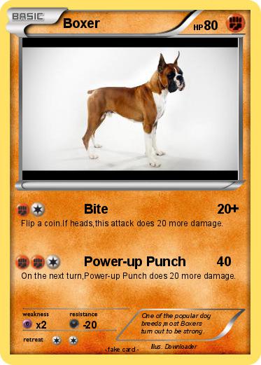 Pokémon Boxer 147 147 - Bite - My Pokemon Card