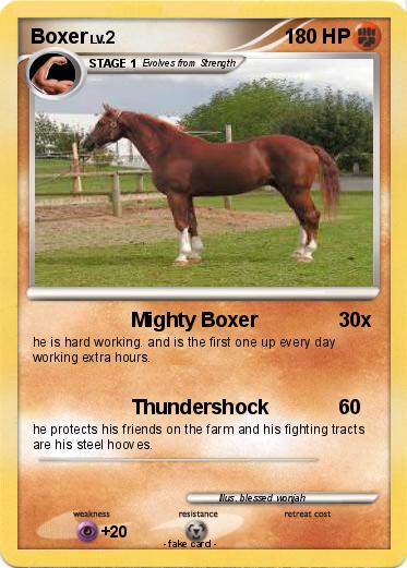 Pokémon Boxer 126 126 - Mighty Boxer - My Pokemon Card