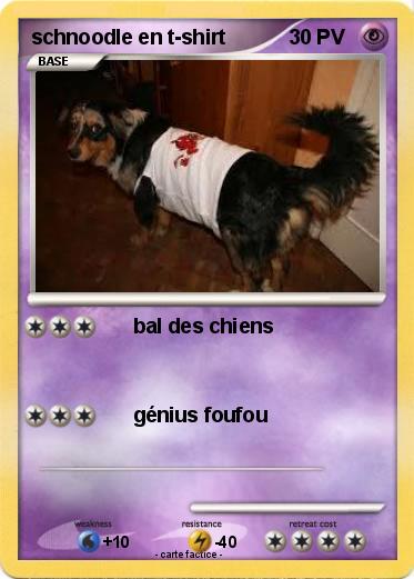 Pokémon schnoodle en t shirt - bal des chiens - Ma carte Pokémon