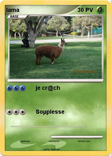 Pokémon lama 133 133 - je cr@ch - Ma carte Pokémon