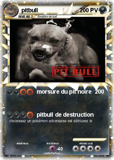 Pokémon pitbull 49 49 - morsure du pit noire - Ma carte Pokémon