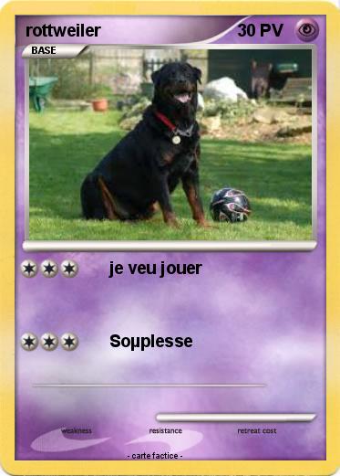 Pokémon rottweiler 252 252 - je veu jouer - Ma carte Pokémon