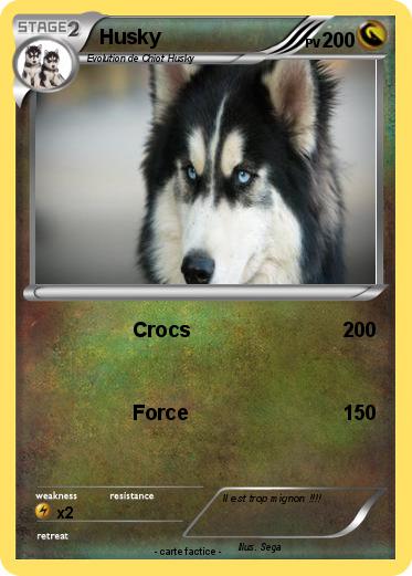 Pokémon Husky 193 193 - Crocs - Ma carte Pokémon