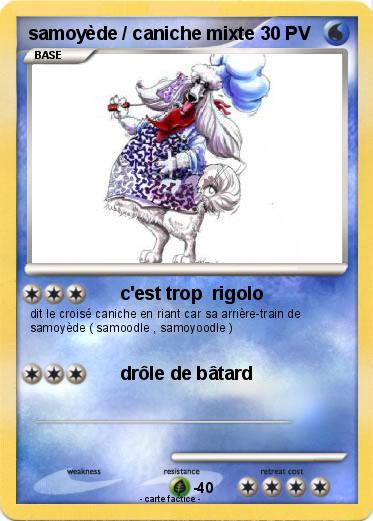 Pokémon samoyede caniche mixte - c'est trop rigolo - Ma carte Pokémon