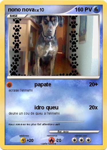 Pokémon nono nova - papate - Ma carte Pokémon