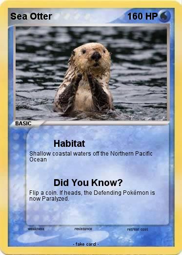 Pokémon Sea Otter 12 12 - Habitat - My Pokemon Card