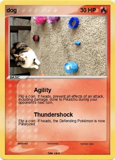 Pokémon dog 1969 1969 - Agility - My Pokemon Card