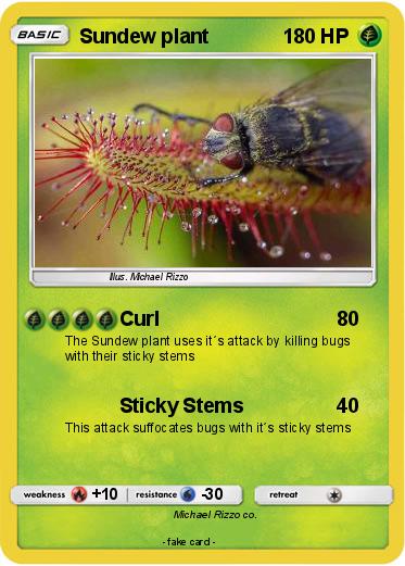 Pokémon Sundew plant - Curl - My Pokemon Card