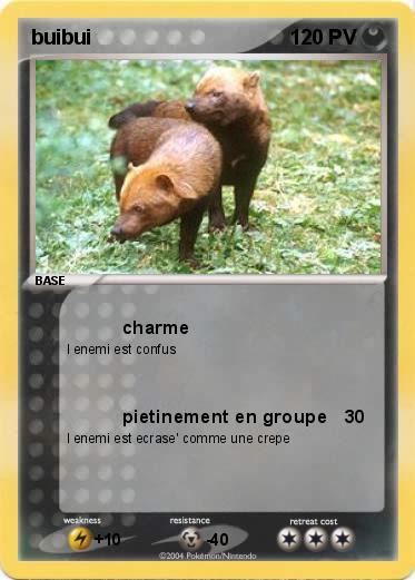Pokémon buibui - charme - Ma carte Pokémon