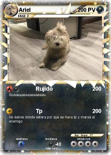 Pokémon Ariel 192 192 - Rujido - Mi carta pokémon