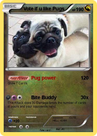 Pokémon Vote if u like Pugs - Pug power - My Pokemon Card
