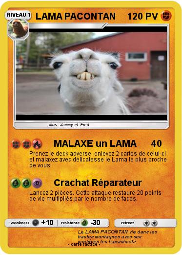 Pokémon LAMA PACONTAN - MALAXE un LAMA - Ma carte Pokémon