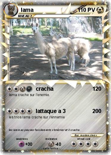 Pokémon lama 38 38 - cracha - Ma carte Pokémon