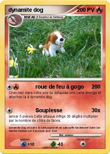 Pokémon dynamite dog - roue de feu à gogo - Ma carte Pokémon