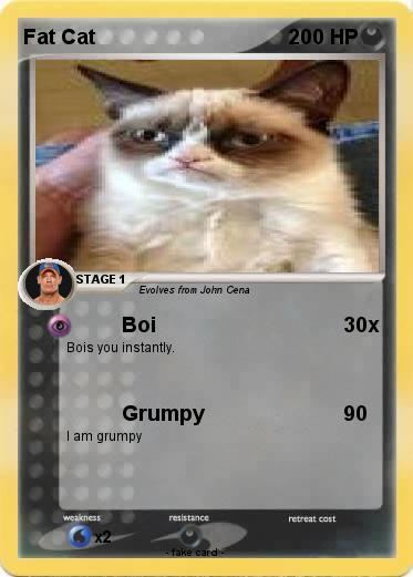 Pokémon Fat Cat 343 343 - Boi - My Pokemon Card