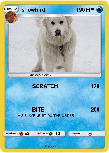 Pokémon snowbird 5 5 - SCRATCH - My Pokemon Card