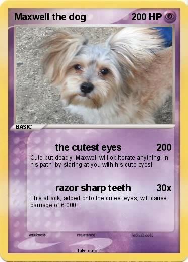 Pokémon Maxwell the dog - the cutest eyes - My Pokemon Card