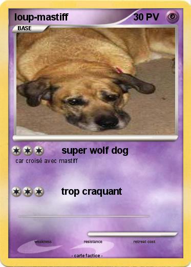 Pokémon loup mastiff 4 4 - super wolf dog - Ma carte Pokémon