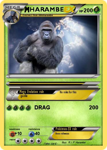 Pokémon HARAMBE 500 500 - DRAG - My Pokemon Card