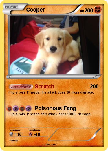 Pokémon Cooper 204 204 - Scratch - My Pokemon Card