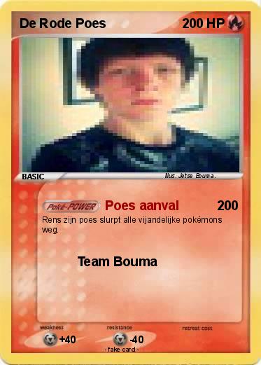 Pokémon De Rode Poes - Poes aanval - My Pokemon Card