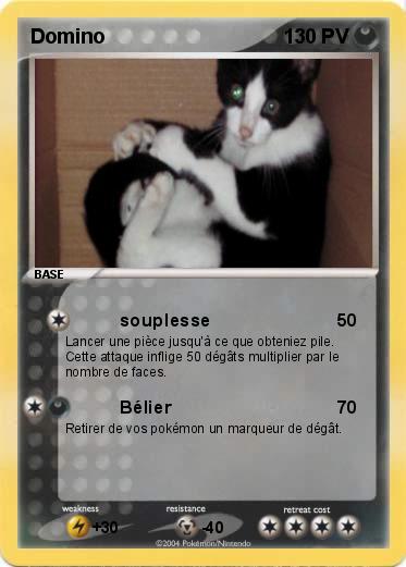 Pokémon Domino 4 4 - souplesse - Ma carte Pokémon