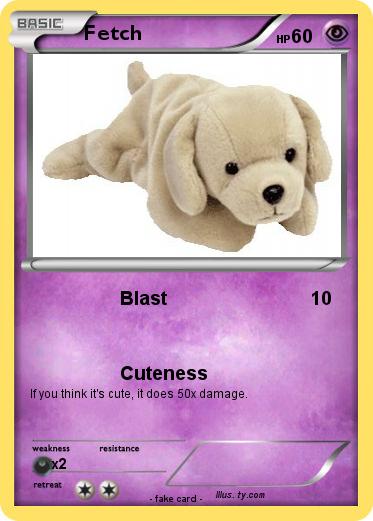 Pokémon Fetch 14 14 - Blast - My Pokemon Card