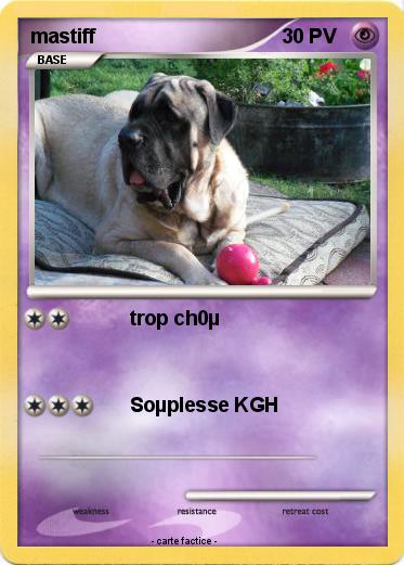 Pokémon mastiff 408 408 - trop ch0µ - Ma carte Pokémon