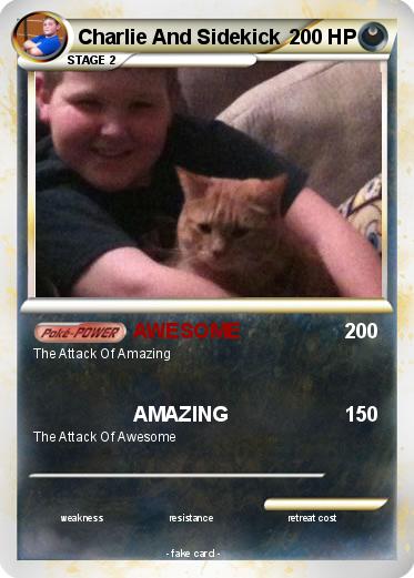Pokémon Charlie And Sidekick - AWESOME - My Pokemon Card