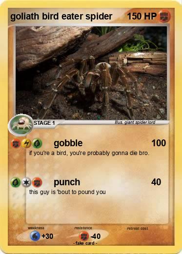 Pokémon goliath bird eater spider - gobble - My Pokemon Card