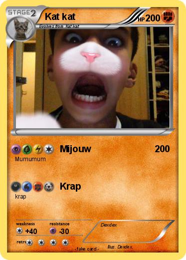 Pokémon Kat kat - Mijouw - My Pokemon Card