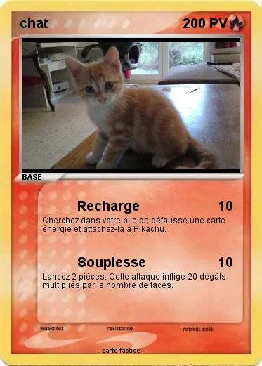 Pokémon chat 4357 4357 - Recharge - Ma carte Pokémon
