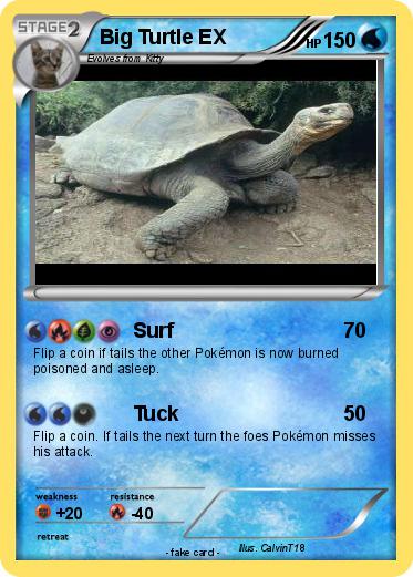 Pokémon Big Turtle EX - Surf - My Pokemon Card