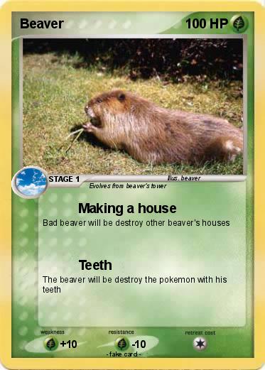 Pokémon Beaver 94 94 - Making a house - My Pokemon Card