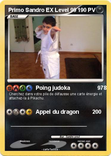 Pokémon Primo Sandro EX Level 99 99 - Poing judoka 978 - Ma carte Pokémon