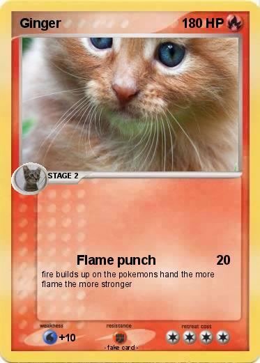 Pokémon Ginger 371 371 - Flame punch - My Pokemon Card