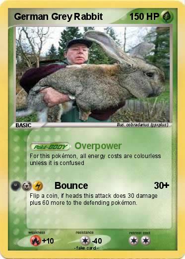 Pokémon German Grey Rabbit - Overpower - My Pokemon Card