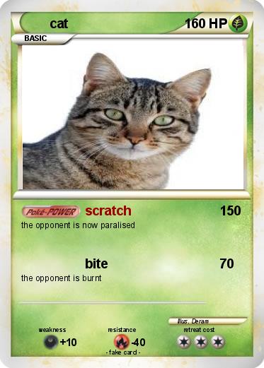 Pokémon cat 1593 1593 - scratch - My Pokemon Card